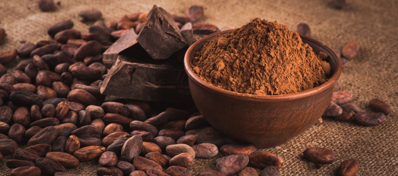 Cacao y Mango Farm